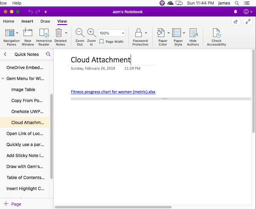 MAC Using Local App To Edit Attachment In OneNote Office 