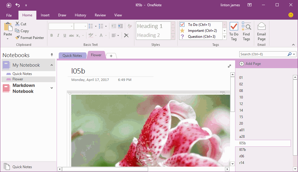 Import Pictures Into OneNote As Original Size Office OneNote Gem Add Ins